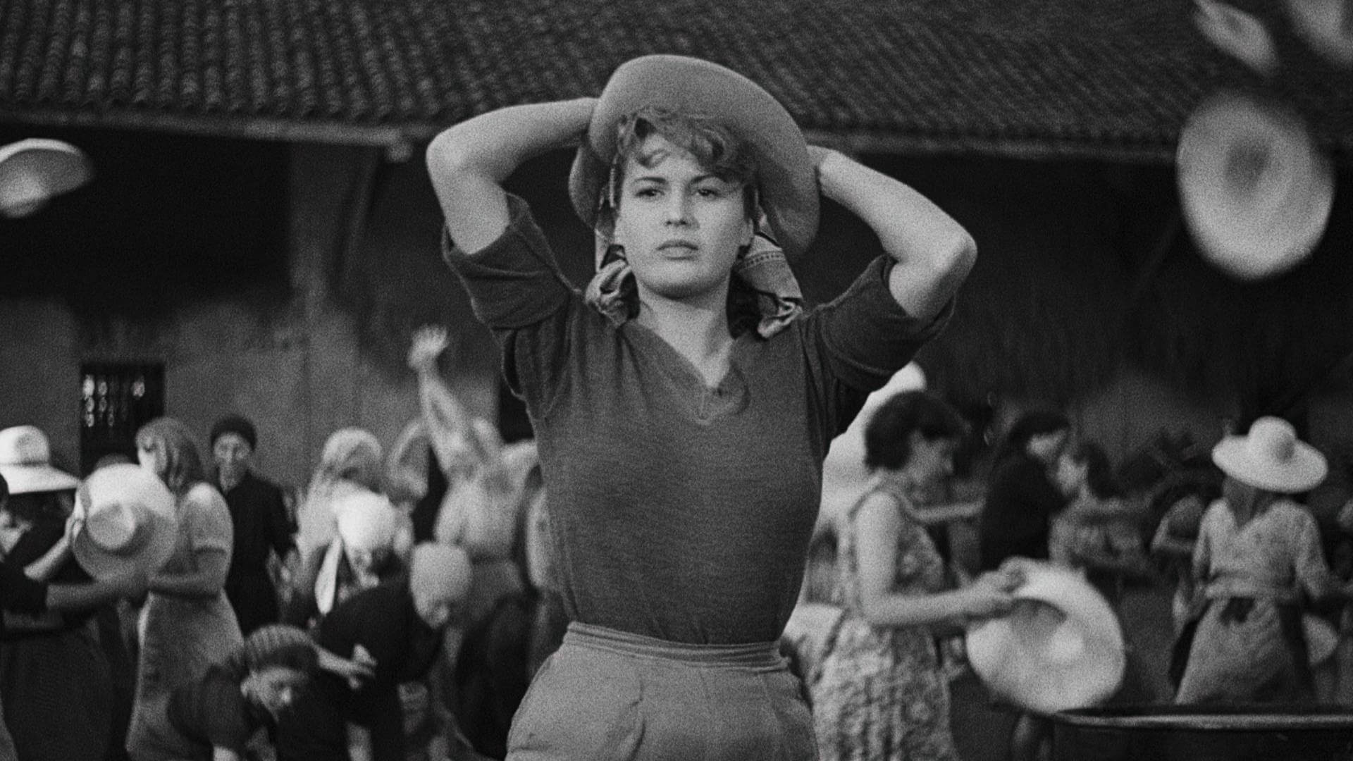 Exclusive: Pulpy Italian neorealist Bitter Rice gets 4K restoration