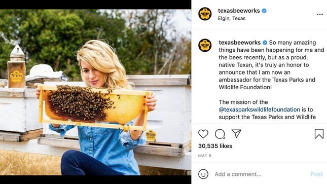 The Emerging Beef Between the Texas Bee Lady and the Beekeeping Critic ...