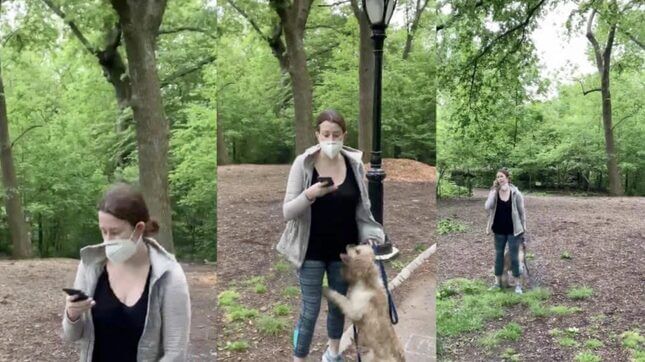 Amy Cooper Is Suing Her Former Job, Arguing Viral Video Demonstrating ...