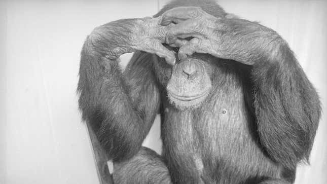 Tell Us About the Most Mortifying Thing You've Ever Done